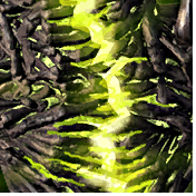 Abyss - Path of Exile 2 Wiki - poe2