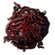 List of waystones - Path of Exile 2 Wiki - poe2